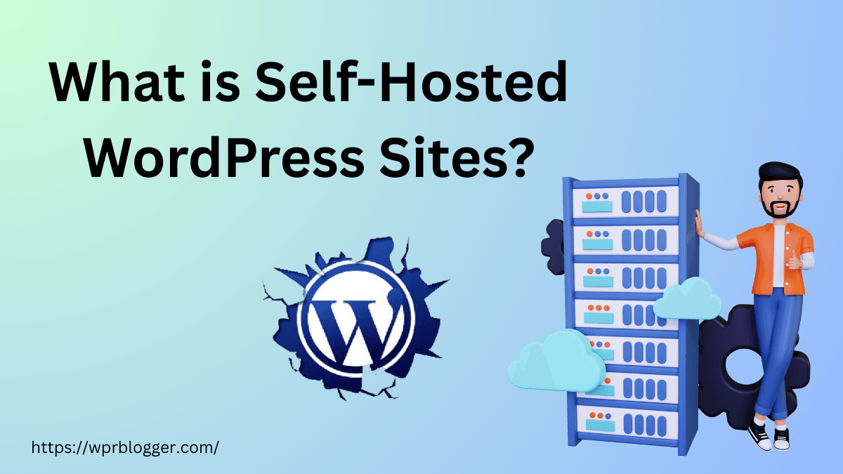 What Is a Self-Hosted WordPress Site? Beginner's Guide
